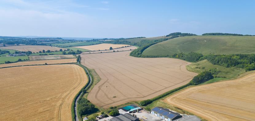 Soil health in UK farming | Farming Advice Service